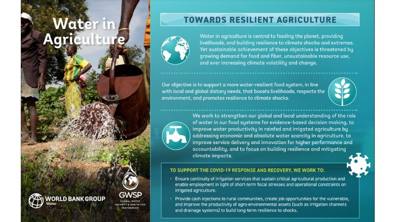 Sustainable Farming Practices in Cabo Verde: Navigating Water Scarcity ...