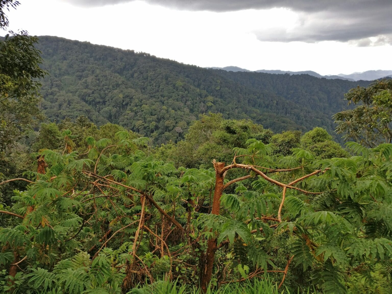 Discovering Rwanda'S Geographic Diversity: From Volcanoes to ...